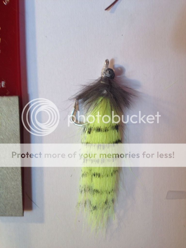 snook flies? | Dedicated To The Smallest Of Skiffs