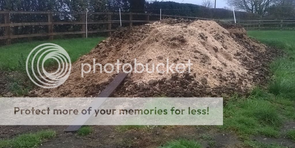 Muck heap 'design' | Horse and Hound Forum